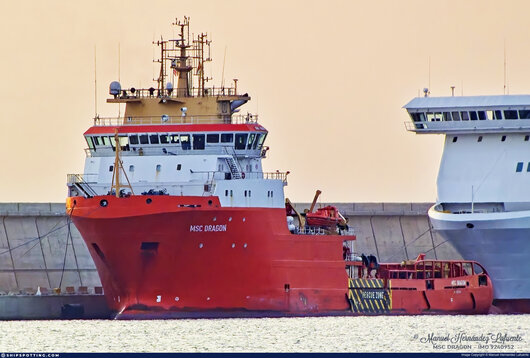 MSC DRAGON