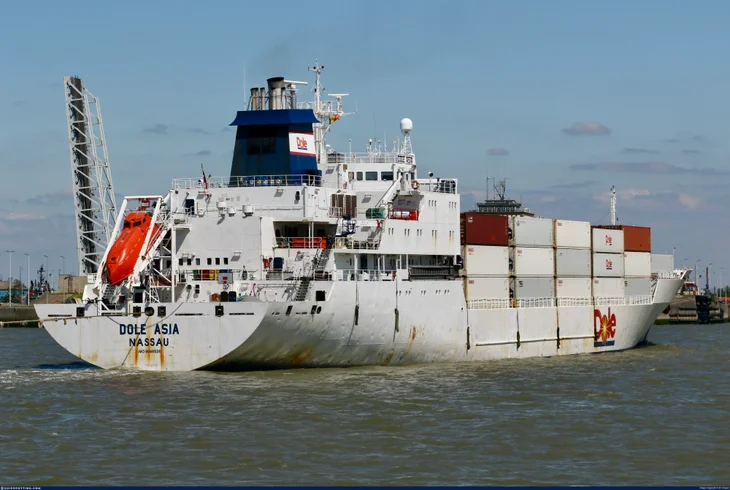 DOLE ASIA 9046526 Crew Reviews | Offshore Ship Advisor